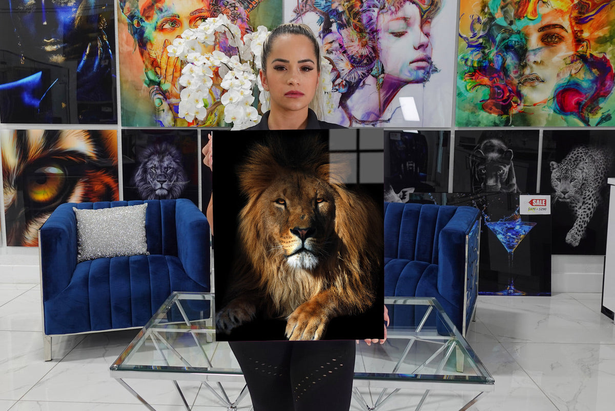 Acrylic Design Power – Bayoli